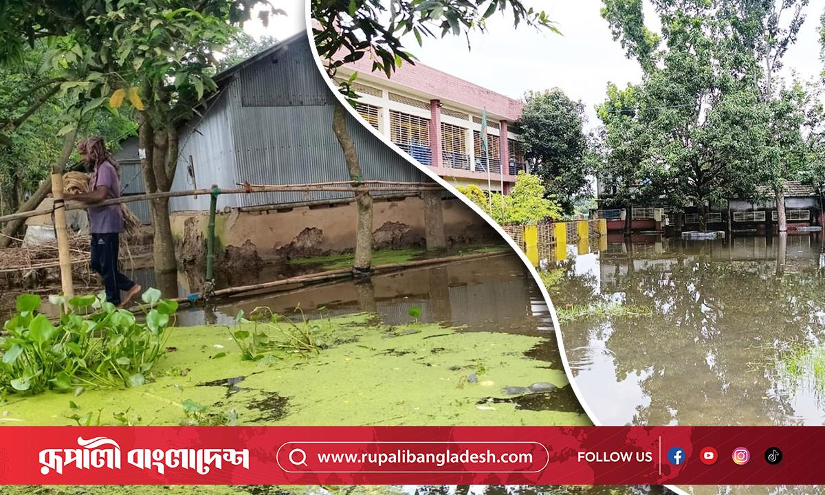 শার্শায় বন্যায় প্লাবিত বিস্তীর্ণ অঞ্চল, আশ্রয়কেন্দ্রে আসছে মানুষ